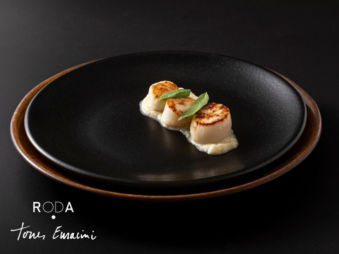 Tabletop solutions | Costa Nova Professional